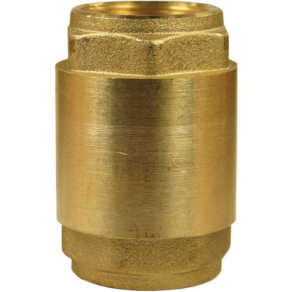 Non Return valve 1 inch [148 733 20] - BE Pressure Supply Limited