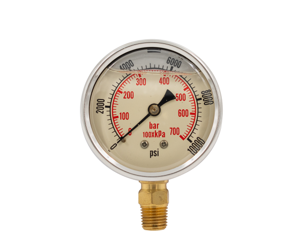 Gauge 10,000 PSI S/S Bottom 1P [165 1614606] - BE Pressure Supply Limited
